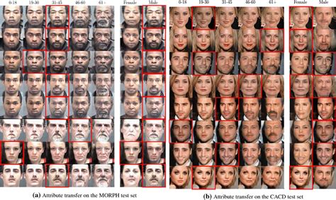 Multiple Demographic Attribute Transfer On The Test Sets Of Morph And Download Scientific