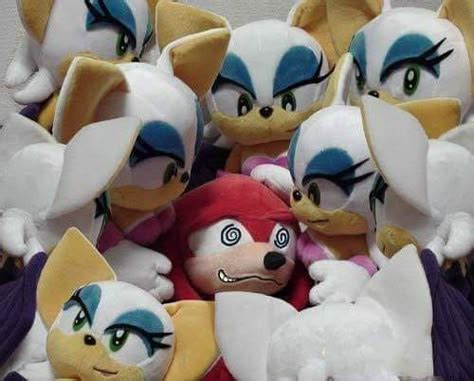 Pin By Polinapryvaeva On Sonic And Shadow Shadow And Rouge Shadow And Amy