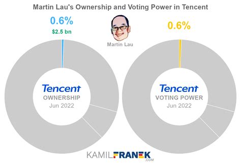 Who Owns Tencent The Largest Shareholders Overview Kamil Franek Business Analytics