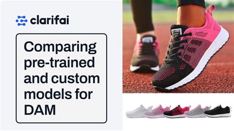 Clarifai On Linkedin Clarifai Demo Using Clarifai For Dam Visual