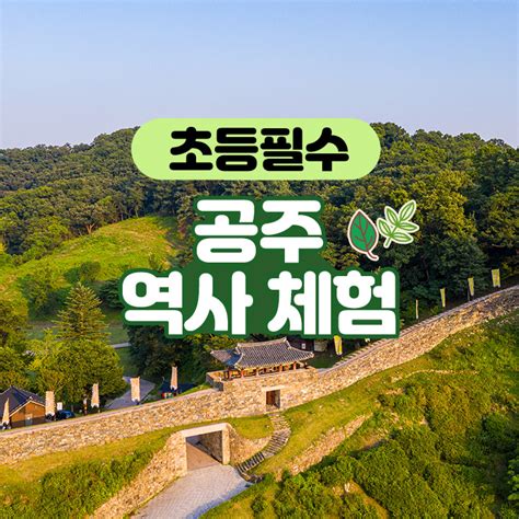 스쿨김영사 신나는 교과서 체험학습