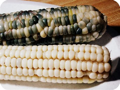 Blue Corn La Cocina De Leslie Blue Corn La Cocina De Leslie