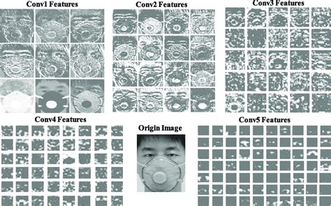 Features Visualization Of Partial Convolutional Layers Download Scientific Diagram