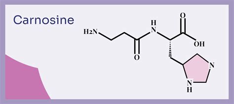 The Science of Carnosine in Skin Care Products – Skin Type Solutions