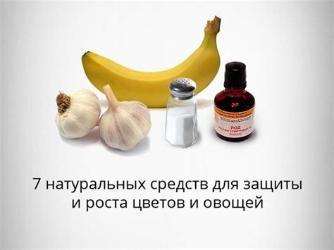 7 натуральных средств для защиты и роста цветов и овощей