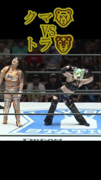 【🐻vs🐯】コグマとキッドによる動物対決！？ Stardom Shorts スターダム 女子プロレス Prowrestling