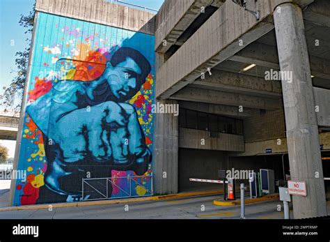 A Colourful Mural Of Boxer Muhammad Ali By Artist Ashley Cathey