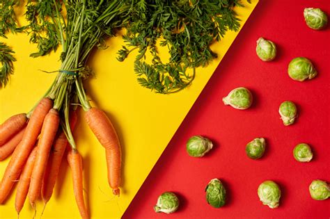 신선한 농장 채소 녹색 줄기를 가진 유기농 당근 잎 육즙이 많은 전체 브뤼셀 콩나물 리듬 조성 플랫 레이 상단보기 복사 공간 디톡스 샐러드와 스무디를 위한 천연 재료 0에