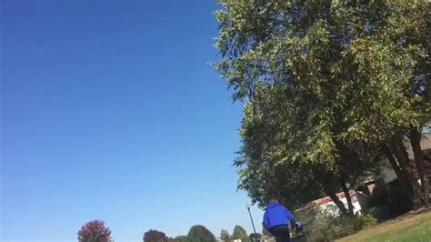 Longboarding Youtube