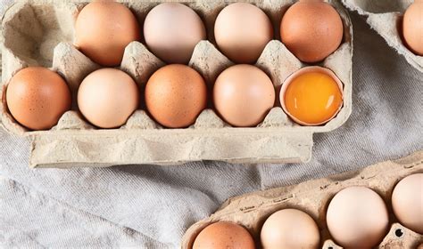 Tips For Determining Edible Eggs The Water Dip Technique And More Archyde