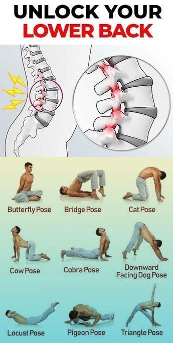 uyruk kemigi çalışması Back exercises Lower back exercises Low back
