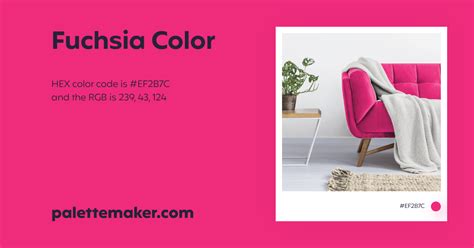 Fuchsia Color HEX EF2B7C Meaning And Live Previews PaletteMaker