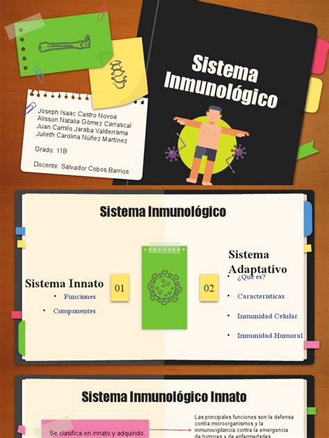 Sistema Inmunologico Adaptativo Pdf Sistema Inmune Linfocitos