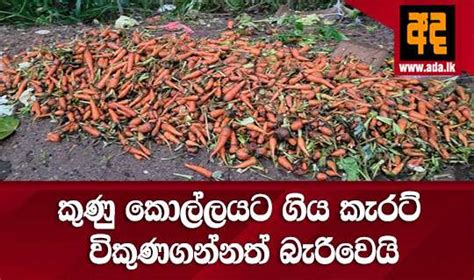 කුණු කොල්ලයට ගිය කැරට් විකුණගන්නත් බැරිවෙයි Ada Online
