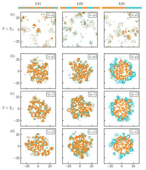 Internal Structure Of Condensates Of Model Hydrophobic Polar Sequences