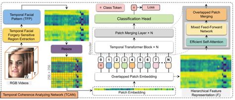 Our Paper On Temporal Coherence For Deepfake Video Detection Muhammad Ahmad Amin Posted On The