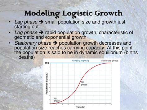 Ppt Population Dynamics Population Ecology Powerpoint Presentation
