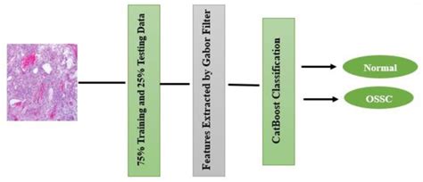 Developed Methodology For Features Extraction Through Gabor And Download Scientific Diagram