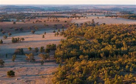 Nothing Middle Of The Road About Australias Midstream Processing Au