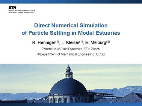 Direct Numerical Simulation Of Particle Settling In Model