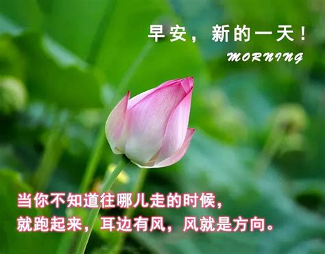 2021年特别漂亮的早上好问候图片创意好看的早上好温馨图片带字 心情