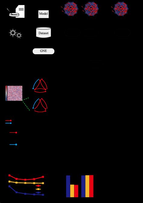 Results To Estimate The Synaptic Weights Of A Neural Circuit With