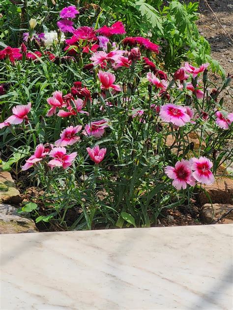 I Like Rain But I Guess A Bit Of Sun Is Nice R Nepalsocial