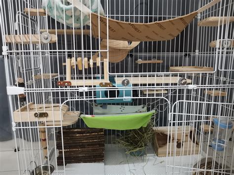 Awesome Chinchilla Cages