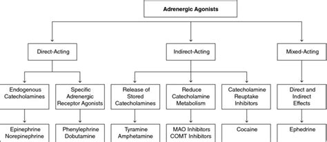 Adrenergic Agonist Side Effects