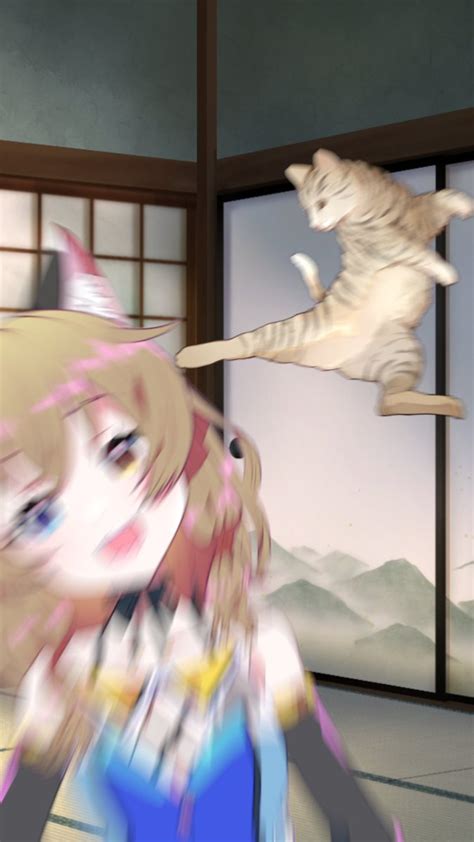 南登かなる NantoKanaru on Twitter 猫の日