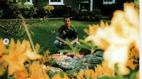 Freddie Mercury Las últimas Fotos Que Se Le Tomaron Antes De Morir