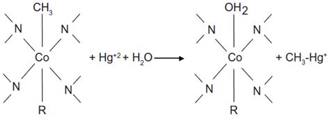 In Depth Review Of Atmospheric Mercury Sources Transformations And