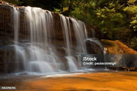 웬트워스 폭포 블루 마운틴 국립 공원 카 툼 바 뉴 사우스 웨일즈 호주 계곡 0명에 대한 스톡 사진 및 기타 이미지 0명 강 경관 Istock