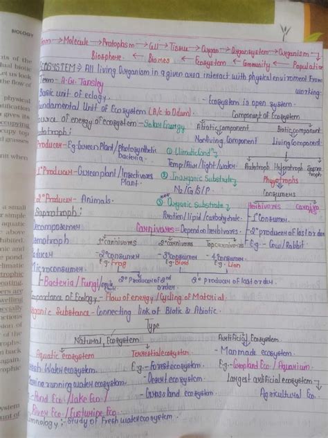 Short Notes On Ecosystem Its All About To Help You So Don T Answer
