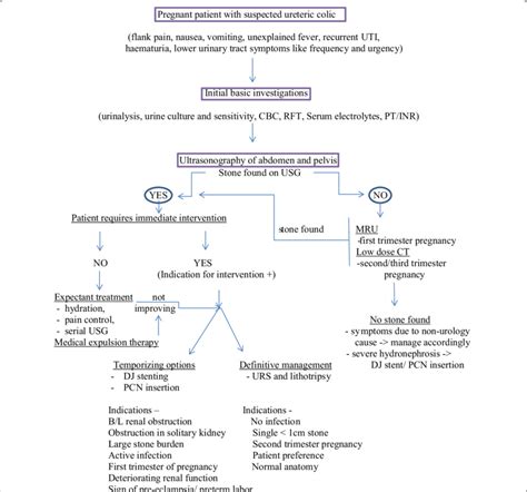 Management Algorithm For The Management Of Ureteric Stone In Pregnancy