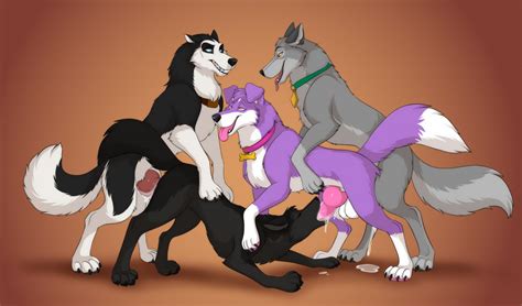 Post 4038091 Balto Steele Zetsin
