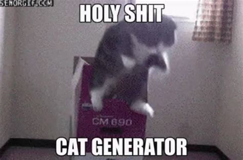 Cat Generator  Cat Generator Discover And Share S