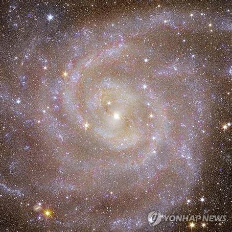 [월드and포토] 반짝반짝 빛나는 유클리드 망원경 첫 우주 사진 나무뉴스