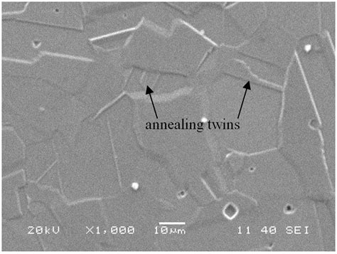 Microstructure Of The Tested Hnss After Solution Annealing Download