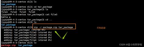 【linux】最全linux常见指令linux常用命令 Csdn博客
