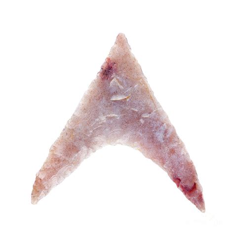 Neolithic Winged Arrow Head Photograph By Pascal Goetgheluck Science Photo Library Fine Art