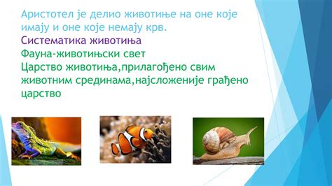 СИСТЕМАТИКА ЖИВОТИЊА Pptx