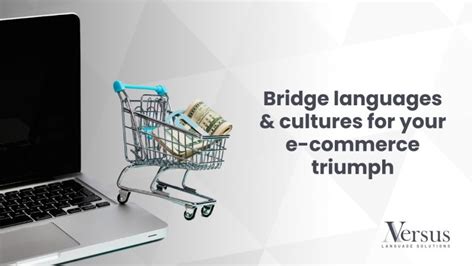 Versus Language Solutions On Linkedin Large Website Localization