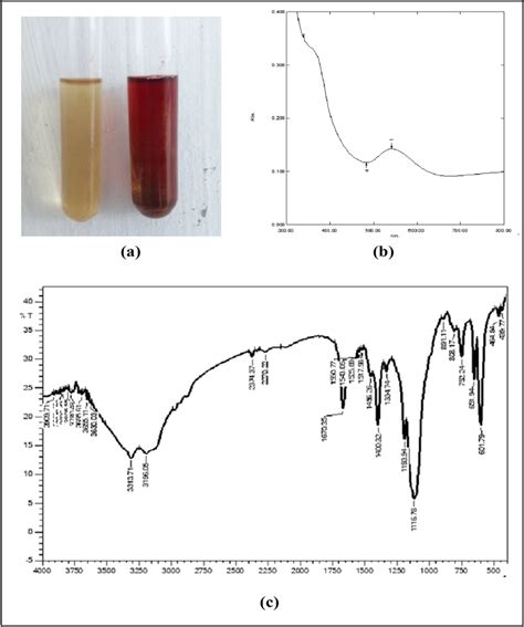 Synthesized Aunps A Reaction Mixture Containing Aunps B Uvvis