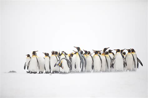 The Kings Assembly Dubai Picture Framing