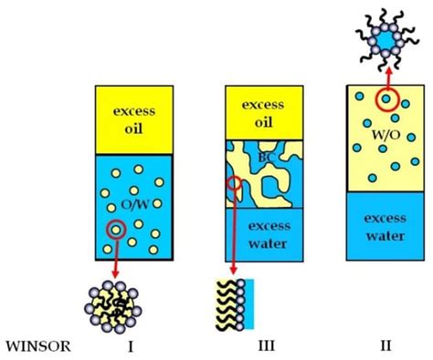 Processes Free Full Text Microemulsions Based On Diverse Surfactant Molecular Structure