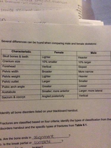 Skeletal System And Articulations Flashcards Quizlet