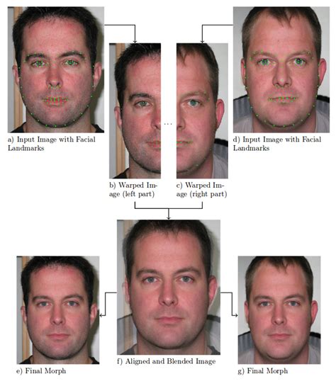 detection of face morphing attacks by deep learning the institute for