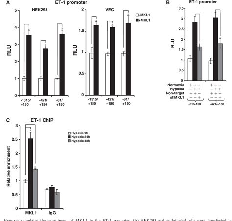 Figure 1 From Megakaryocytic Leukemia 1 Mkl1 Ties The Epigenetic