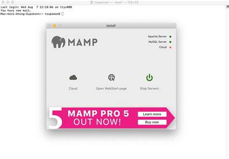 Mac วธใชคำสง Command ใน Terminal เพอ Export ฐานขอมลทงหมดใน